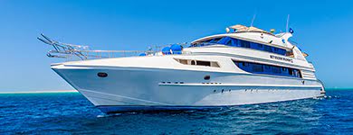 Golden Dolphin Safari World Liveaboard Red Sea